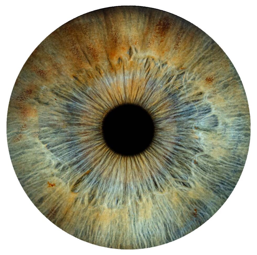About Eye Consultants | Your Best Vision is Our Only Focus